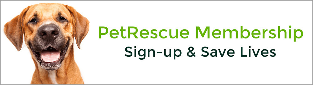 About us - PetRescue